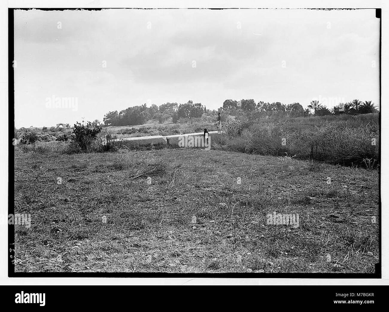 An image of the Caesarea hippodrome site in modern-day Israel, showing ...