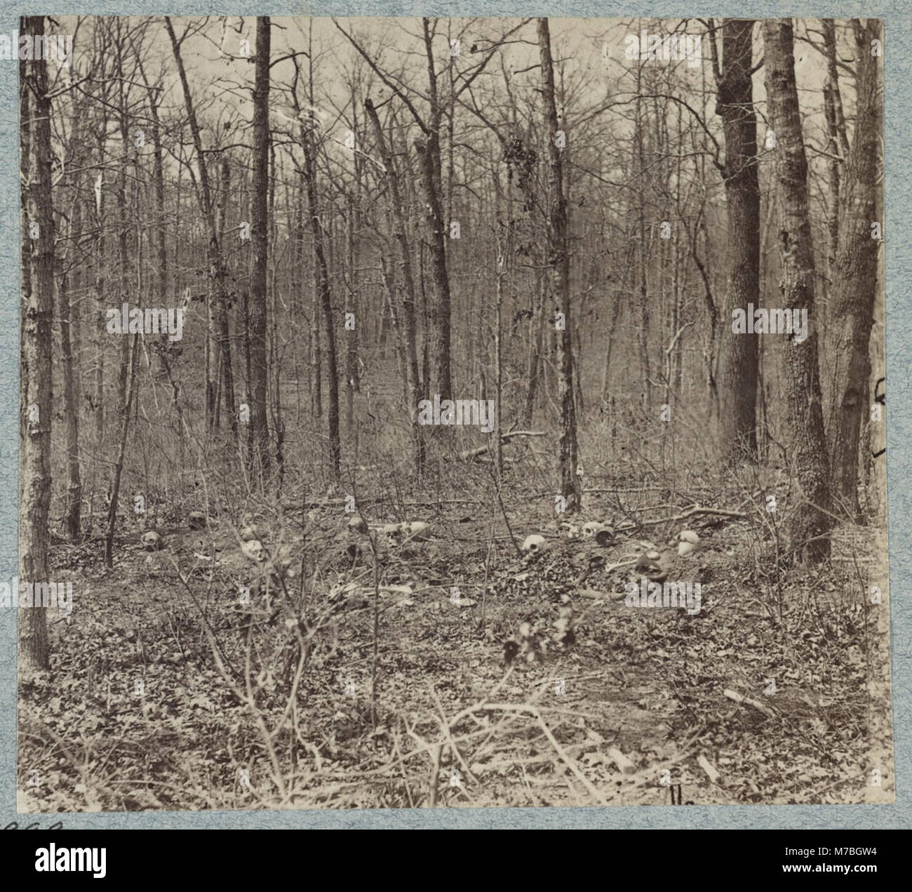 A haunting photograph of unburied soldiers' skulls and bones on the ...