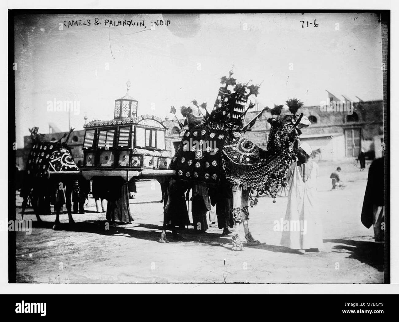 A scene from India featuring camels and a palanquin, showcasing ...