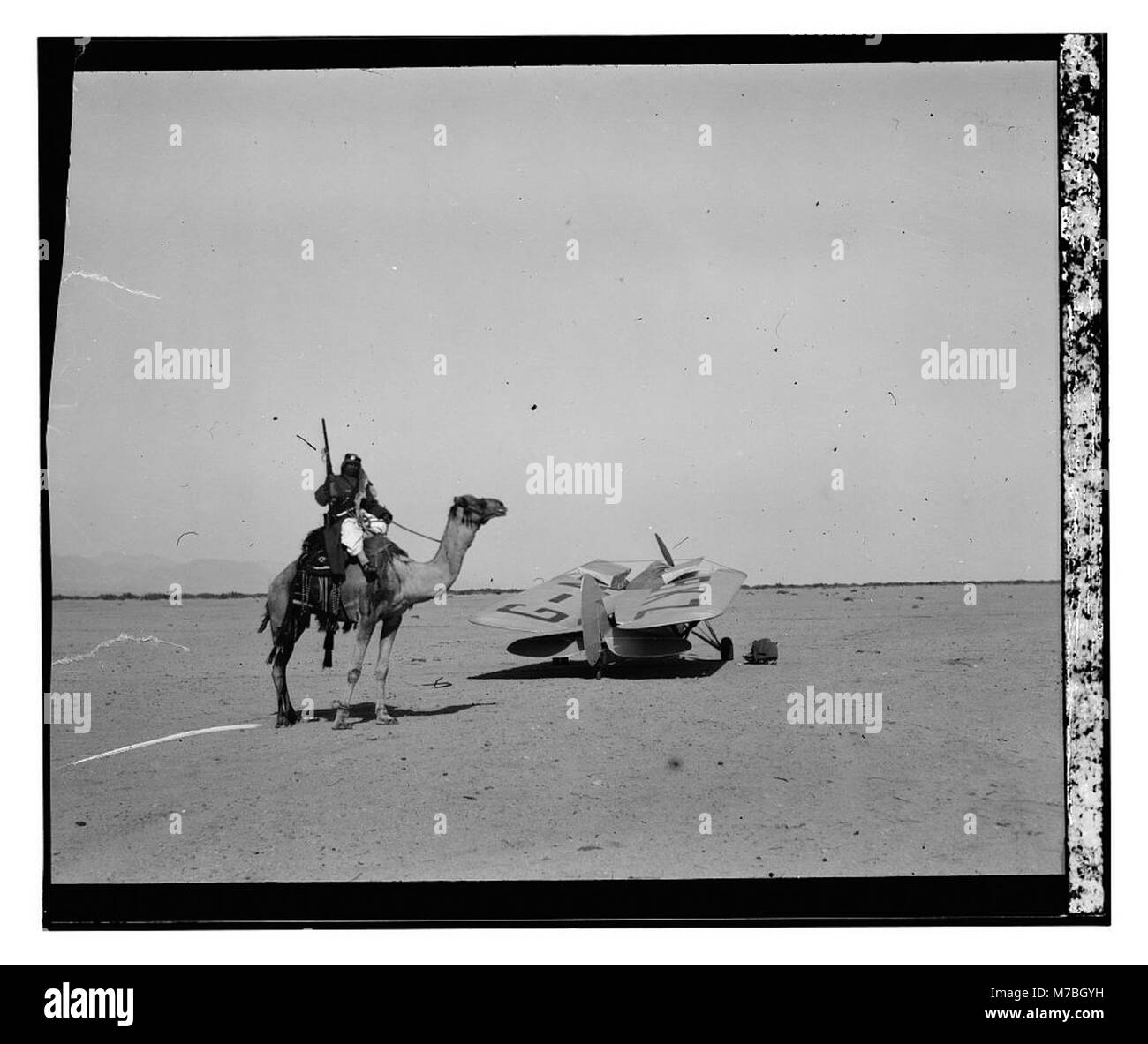 A photograph showing a camel and an airplane together, illustrating a ...
