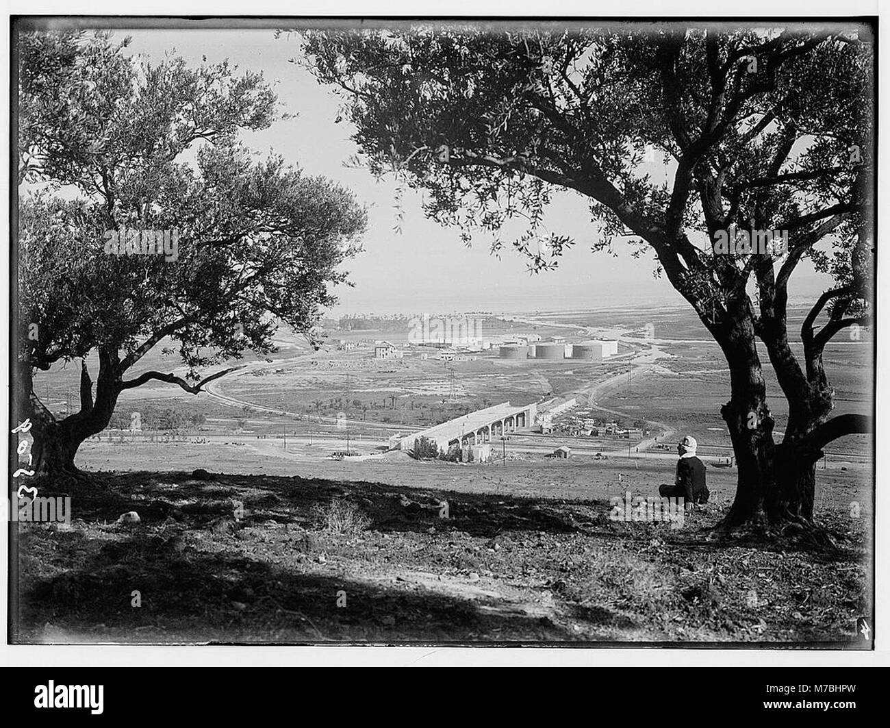 Carmel and Haifa. Haifa. Petrol tanks showing concrete viaduct across R ...