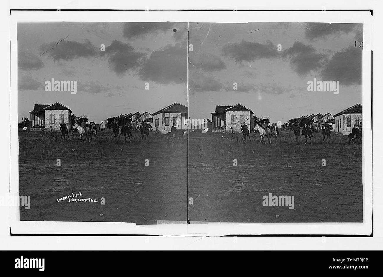 A photograph of Castina, possibly a person or a location, captured in ...