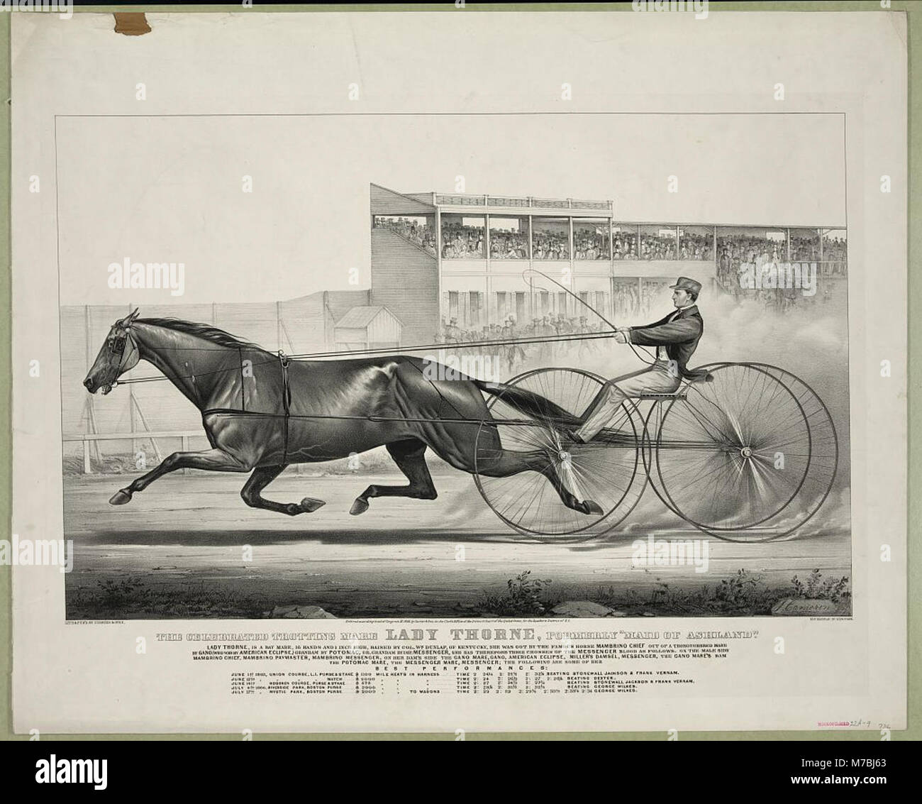 Lady Thorne, a famous trotting mare formerly known as 'Maid of Ashland ...