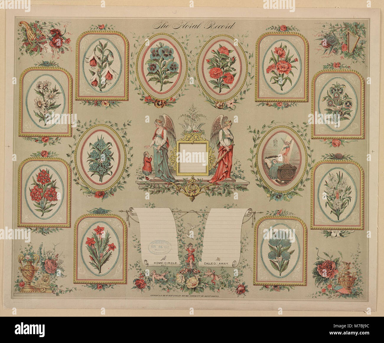 An image of a botanical record, showcasing various floral species ...