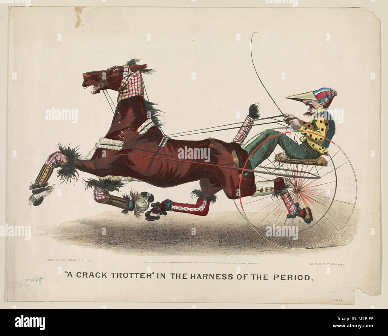 A historical photograph of a 'crack trotter' horse, showcasing the ...