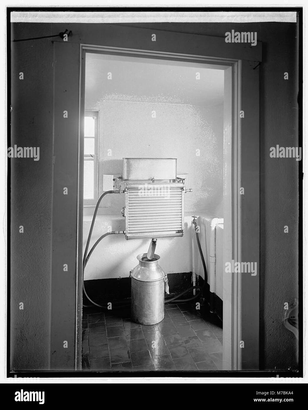 A historic photograph depicting Chestnut Farms Dairy, located in ...