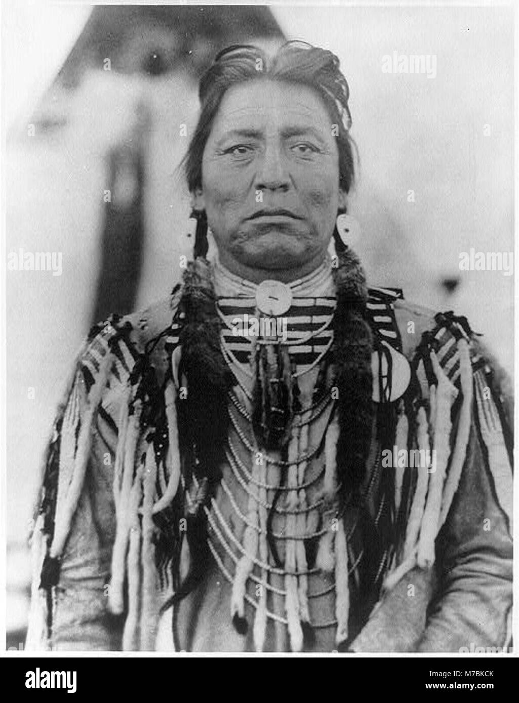 A portrait of Chief Two Guns White Calf, a Native American leader ...