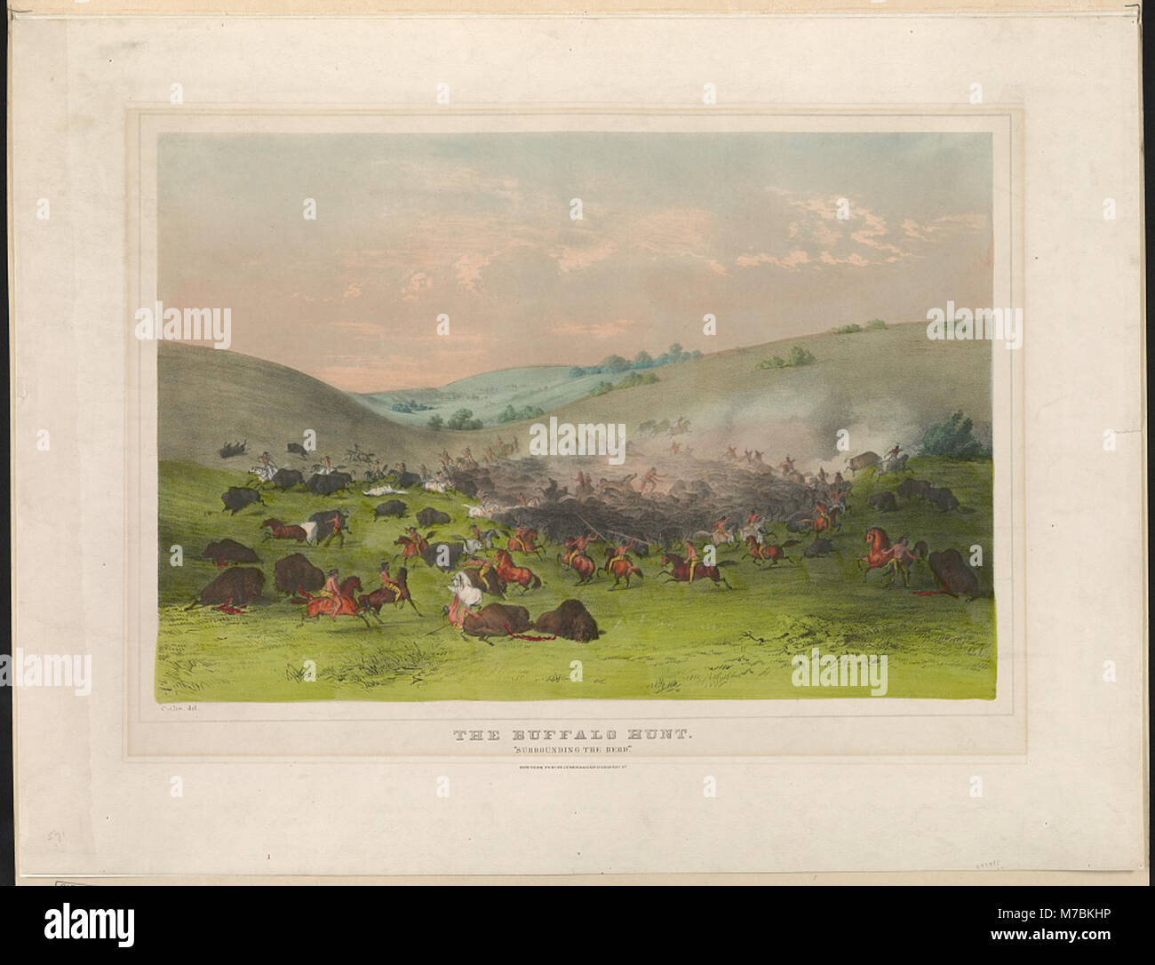 An illustration depicting a buffalo hunt, showing hunters surrounding a ...