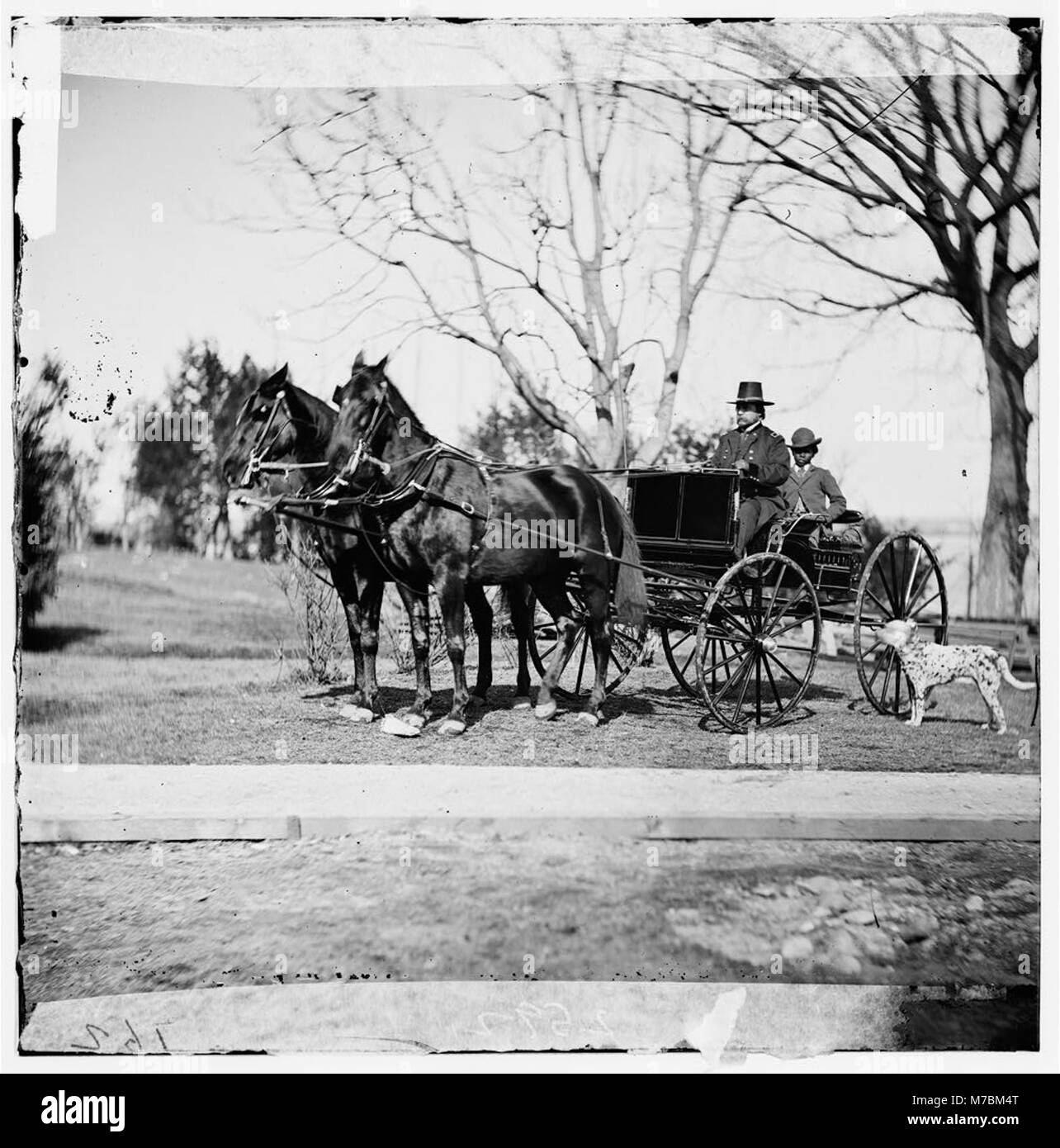 General Rufus Ingalls in a buggy at City Point, Virginia, during the ...