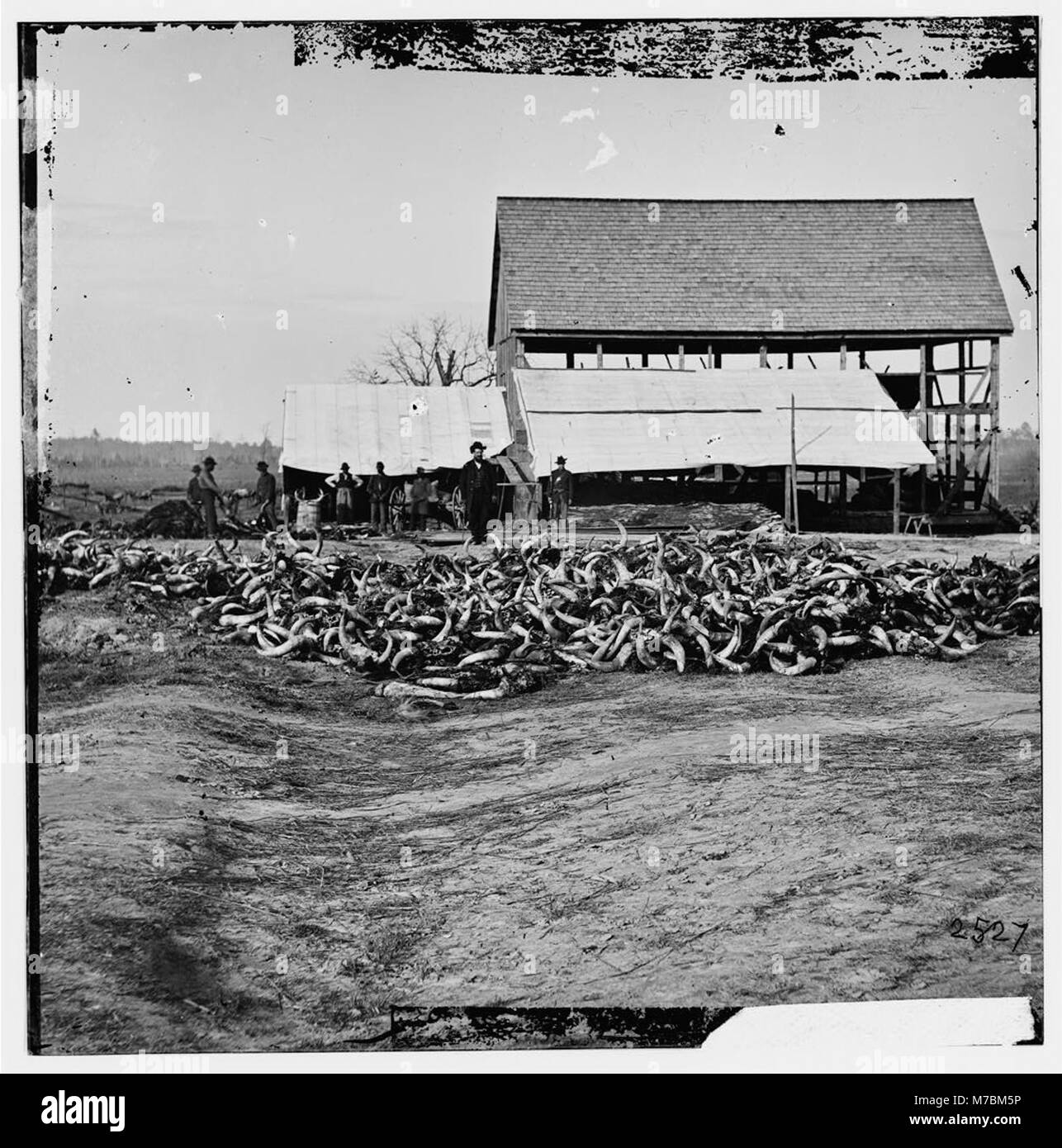 This image shows a slaughterhouse in City Point, Virginia, offering a ...