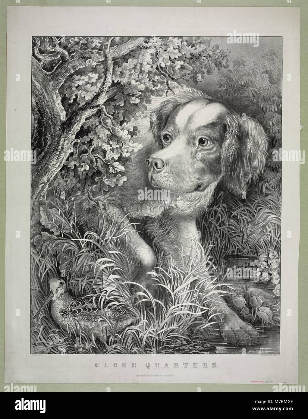 Close quarters hi-res stock photography and images - Alamy