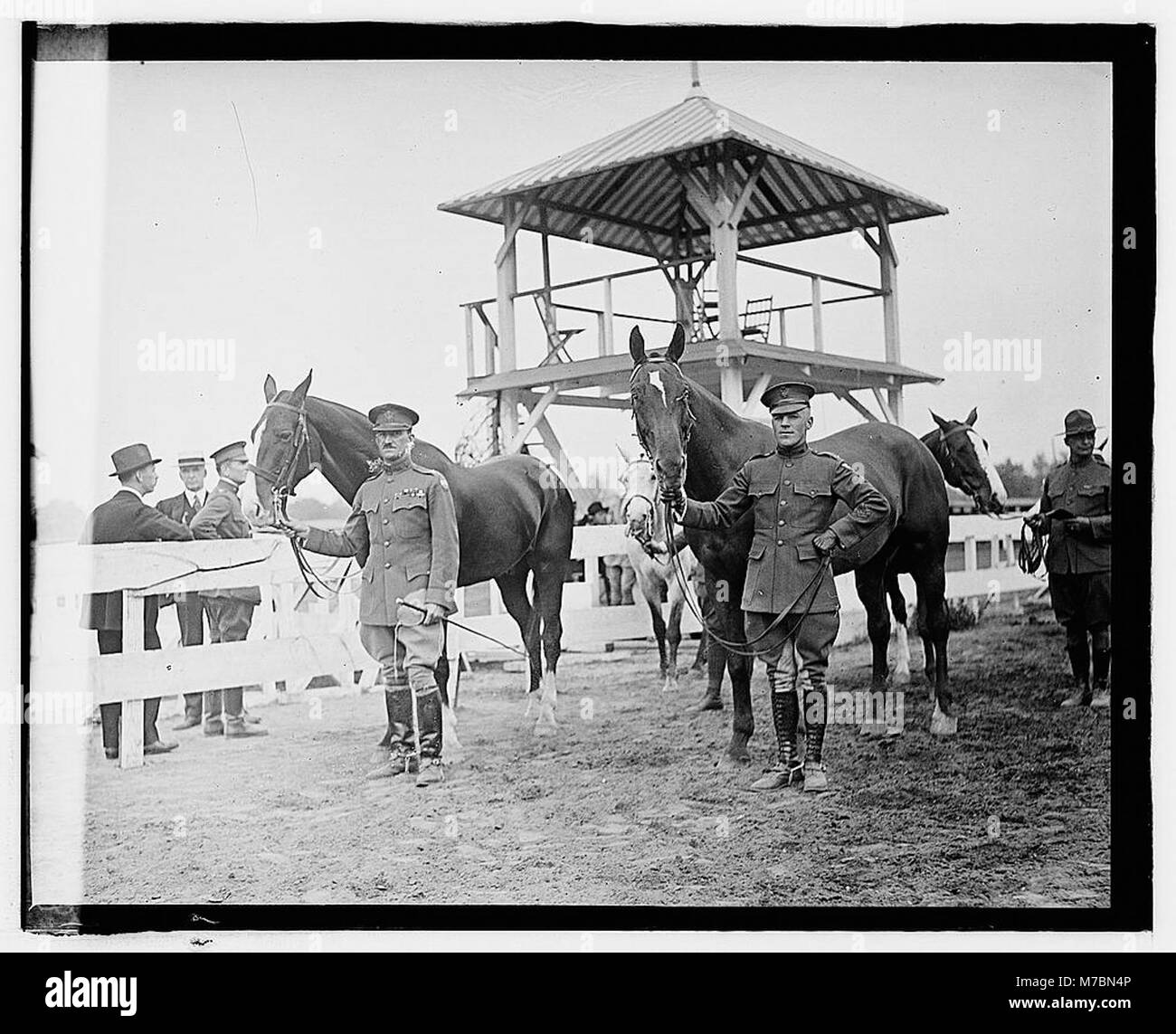 Historical photo showing horse Black and White Stock Photos & Images ...