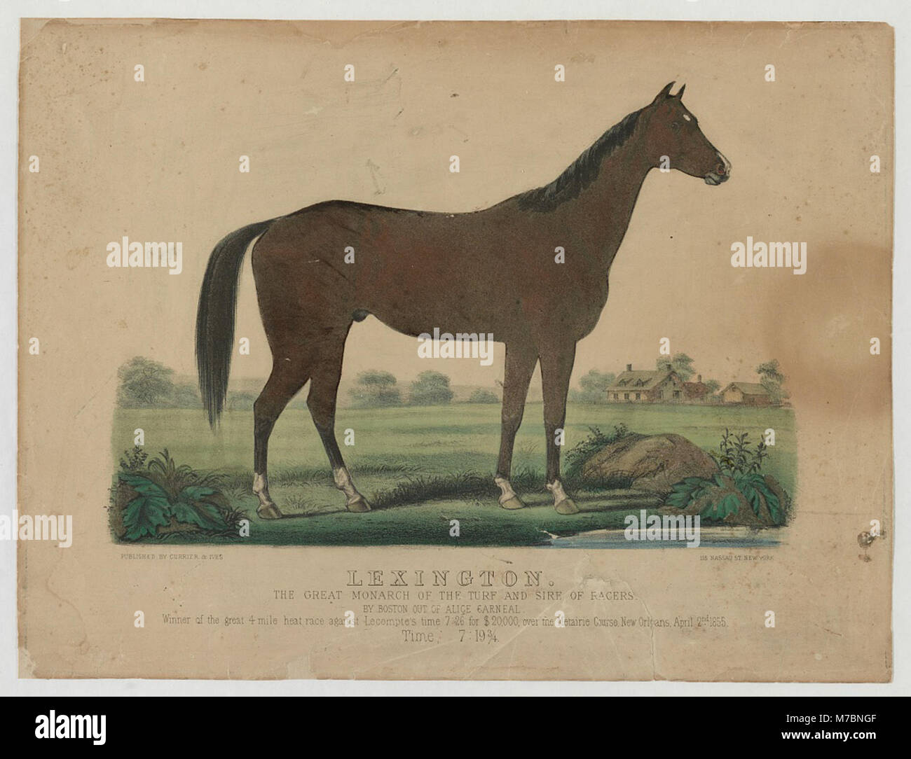 Lexington racehorse hi-res stock photography and images - Alamy