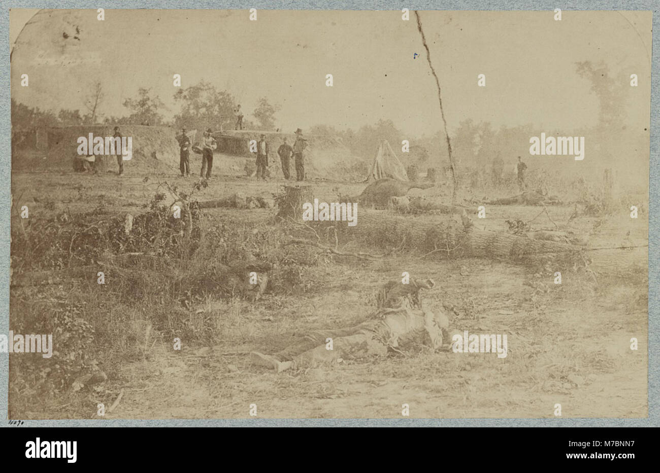 A photograph depicting Confederate soldiers who died during the Battle ...