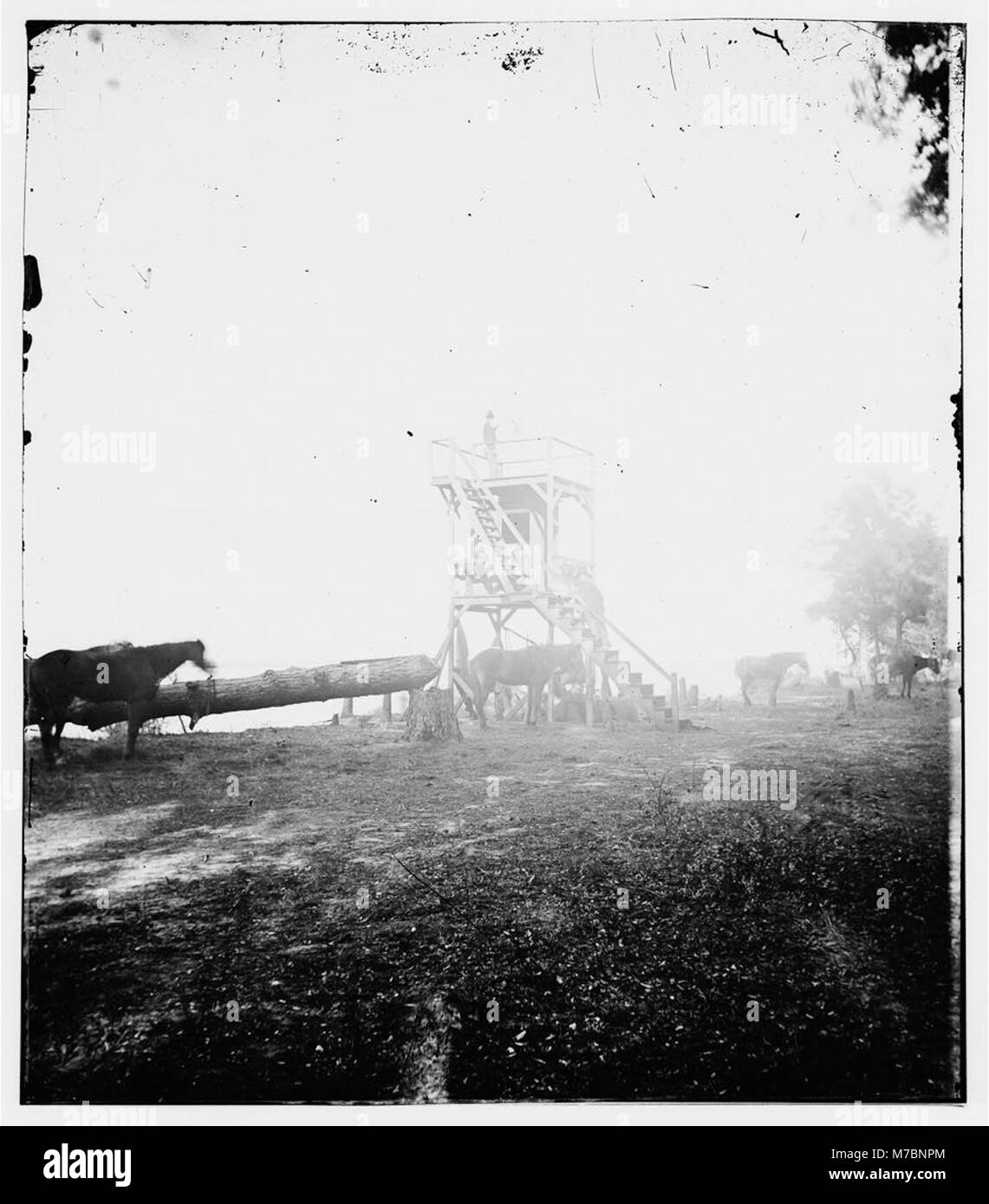 The Confederate signal tower at Fort McAllister in Georgia is shown in ...