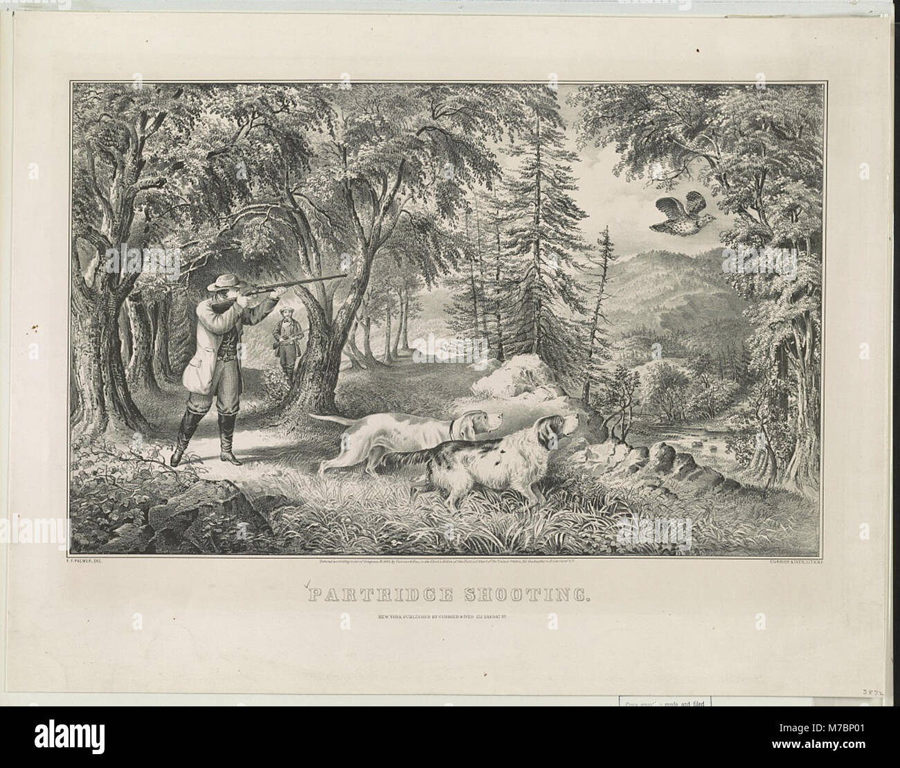 American hunting 1800s hi-res stock photography and images - Alamy