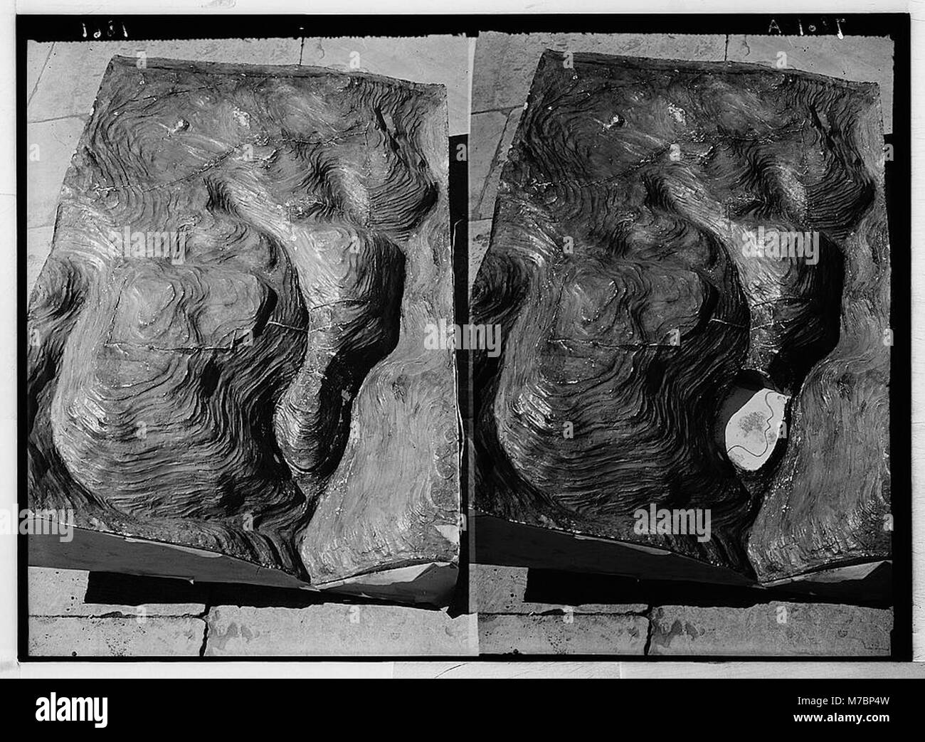 A copy of a relief map illustrating the original topography of ...