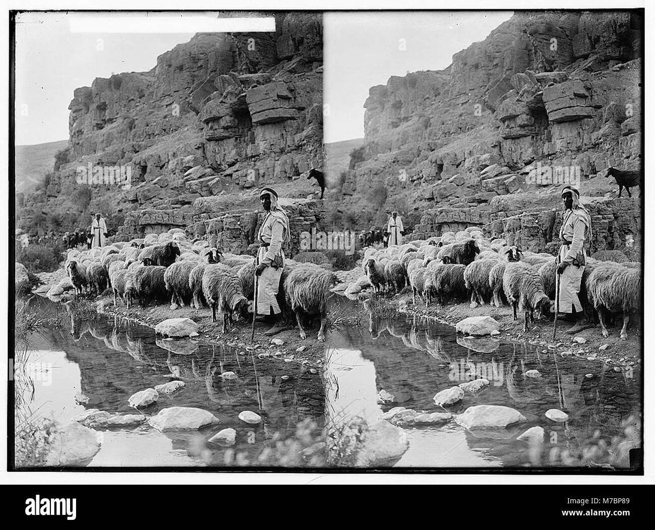 This image depicts costumes and characters in the scene 'Sheep beside ...