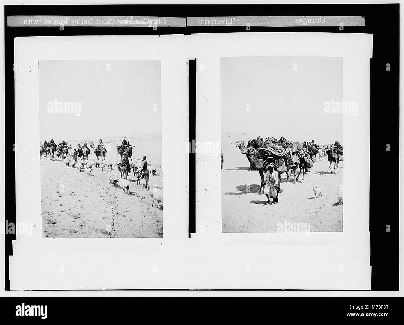 A scene depicting a Bedouin caravan, showcasing traditional costumes ...