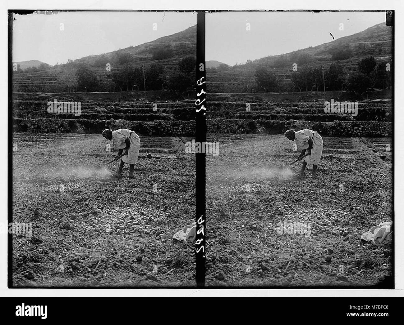 This image features a laborer in the field, showcasing traditional ...