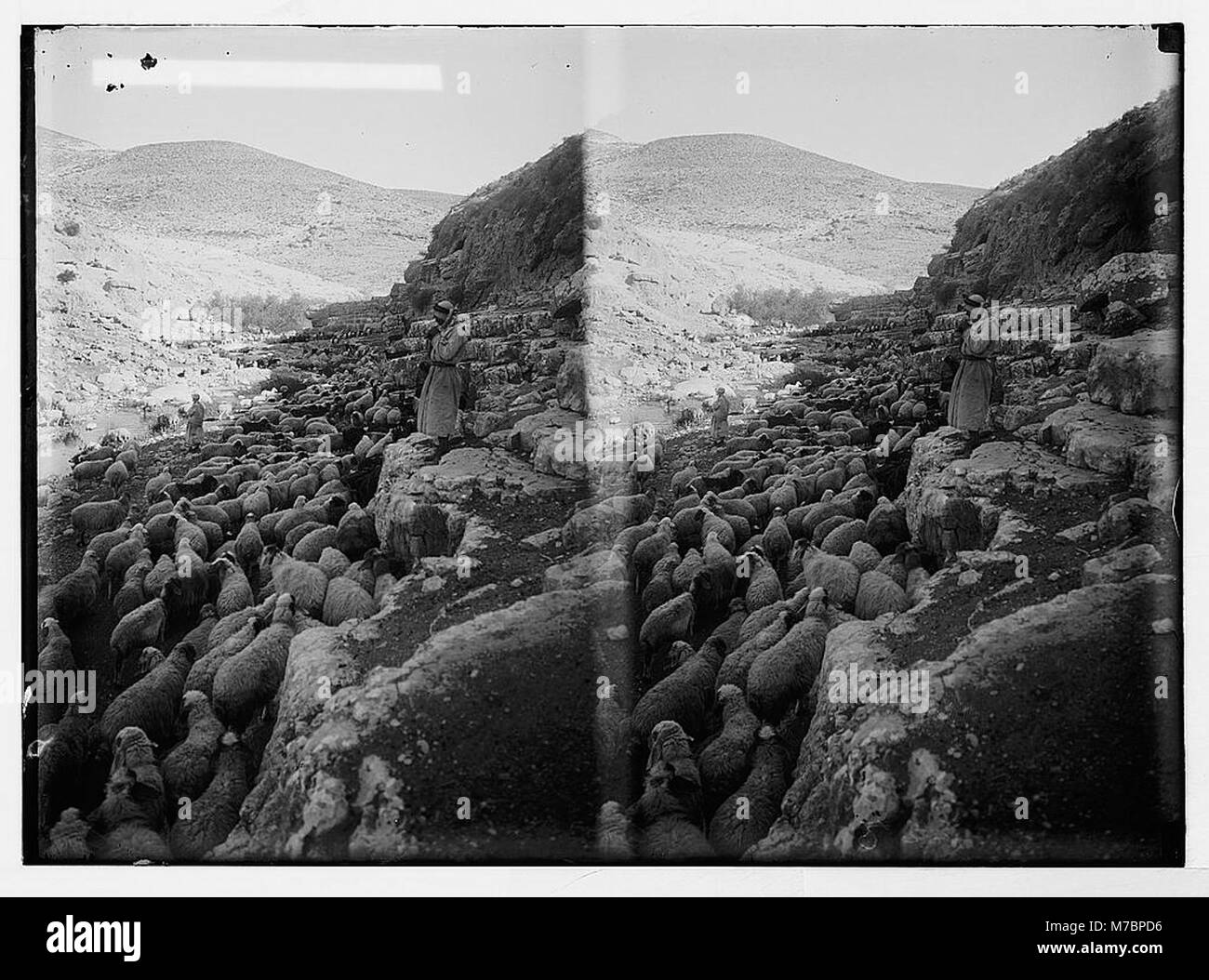 This image features costumes and characters during a midday break, with ...