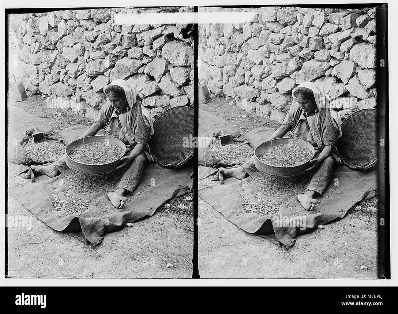 The image shows people dressed in traditional costumes, sifting wheat ...