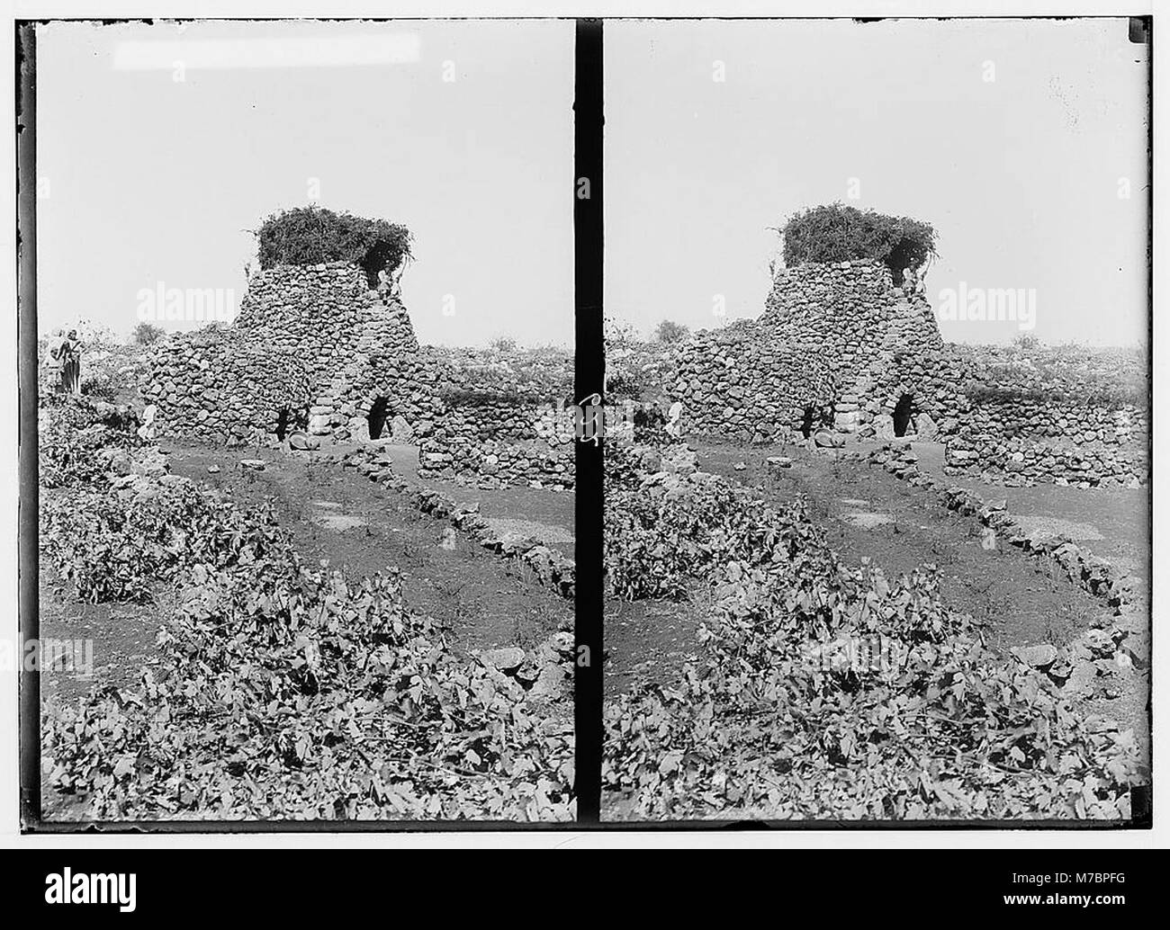 A photograph showcasing various costumes and characters, with a ...