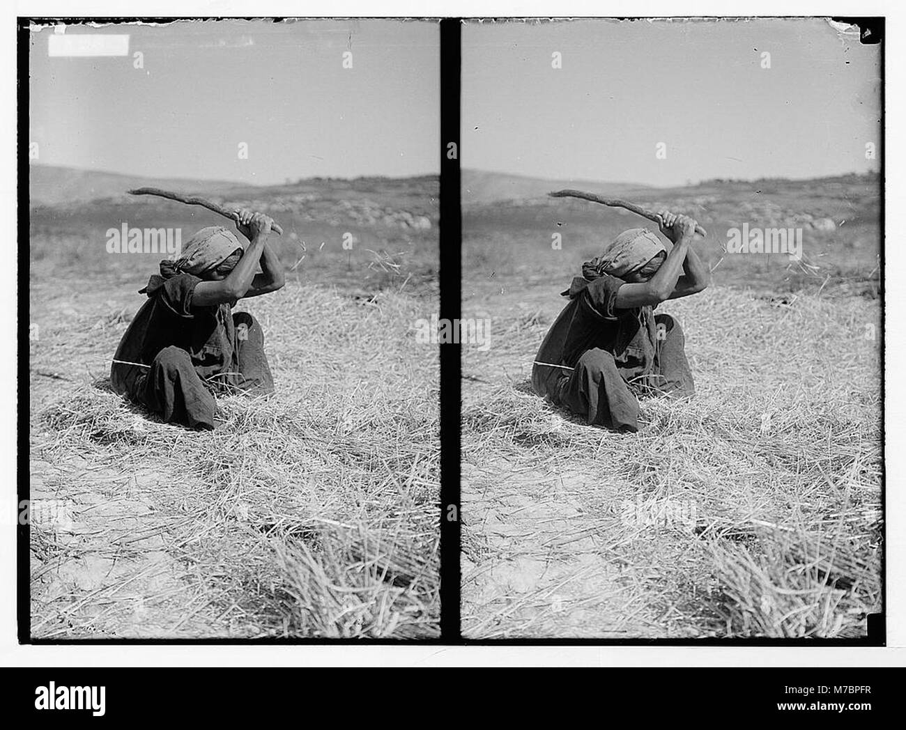 Threshing flail Black and White Stock Photos & Images - Alamy