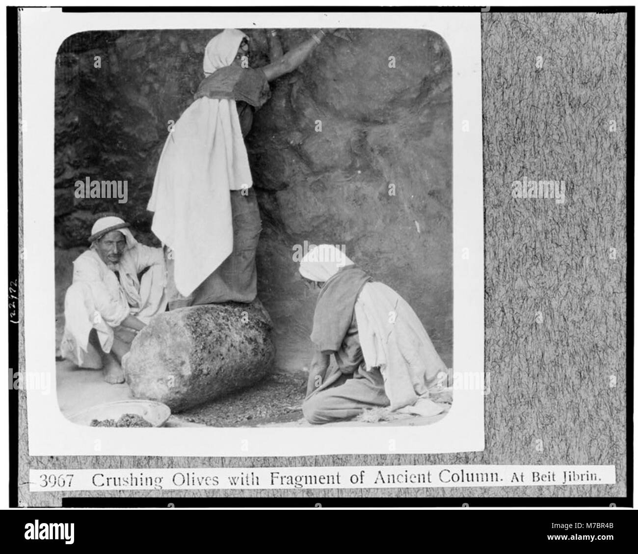 This image shows a scene of olives being crushed with the fragment of ...
