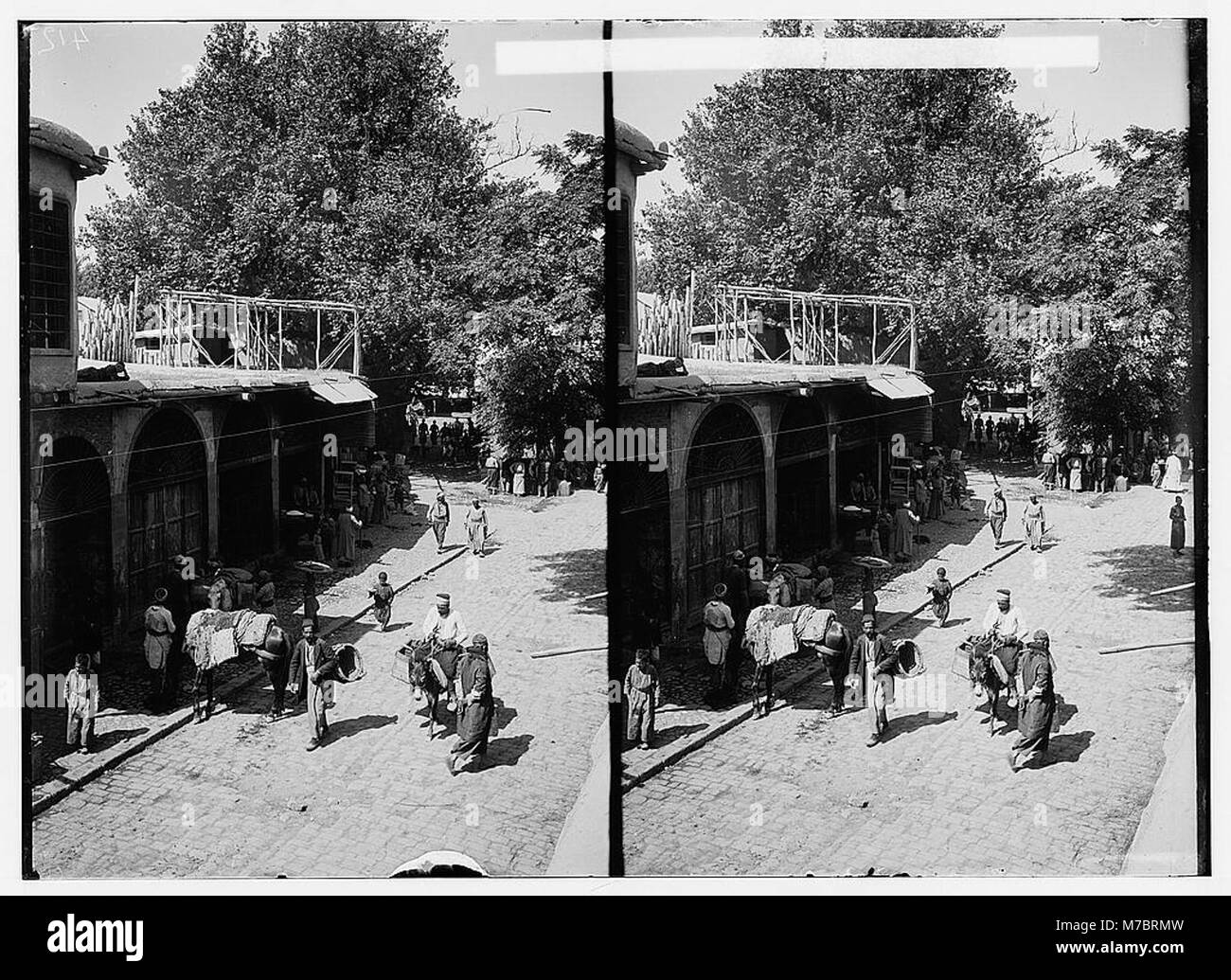A photograph of the 'Hangman's Tree' in Damascus, Syria, an historical ...