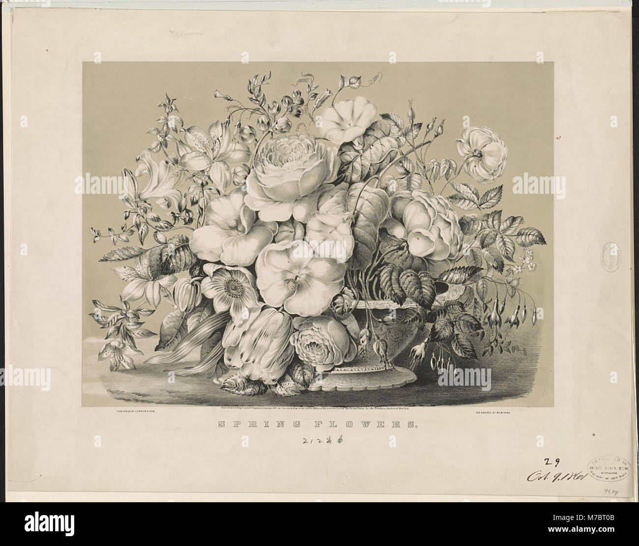 A photograph showcasing a variety of spring flowers in bloom. The image ...