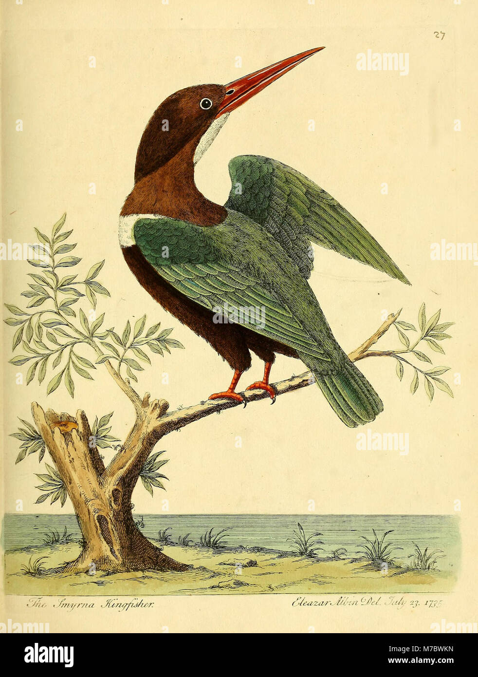 A 1731 publication titled 'A Natural History of Birds' featuring ...
