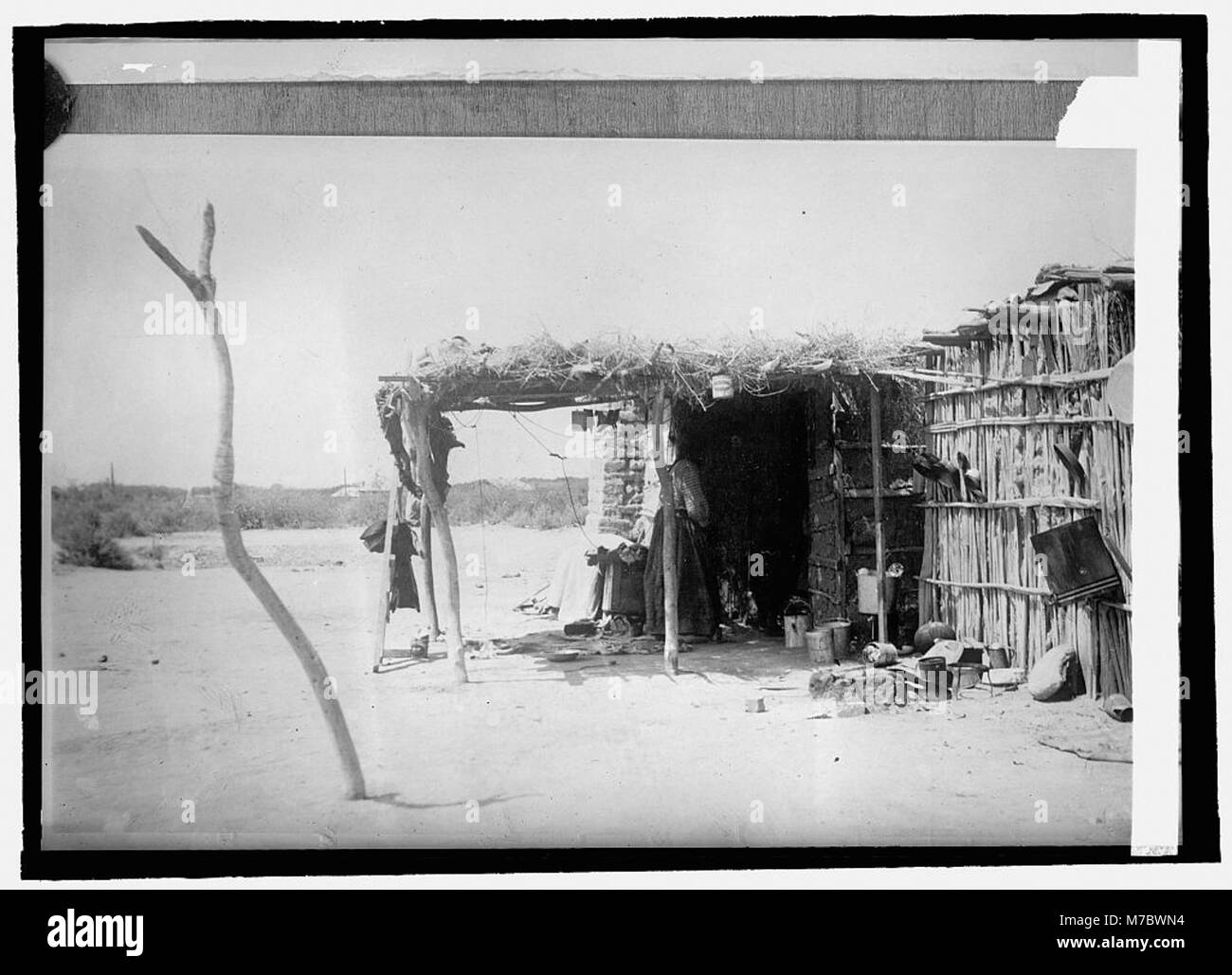 This image depicts a humble shack on a mesa in Mexico, likely ...