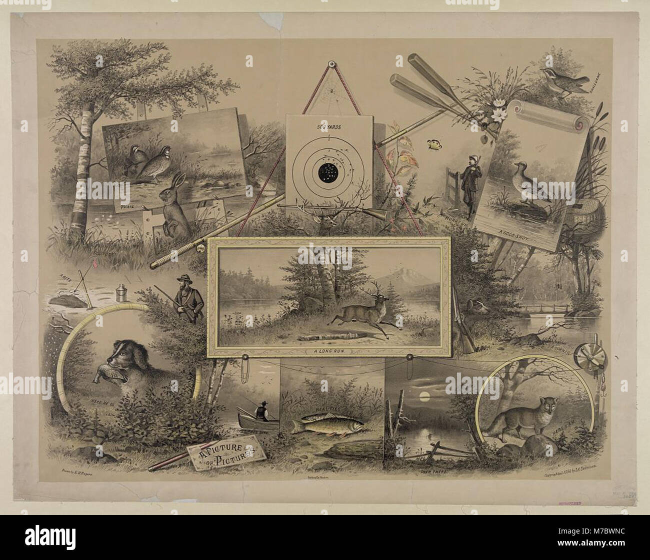 This image features a collage of multiple pictures, creating a visual ...