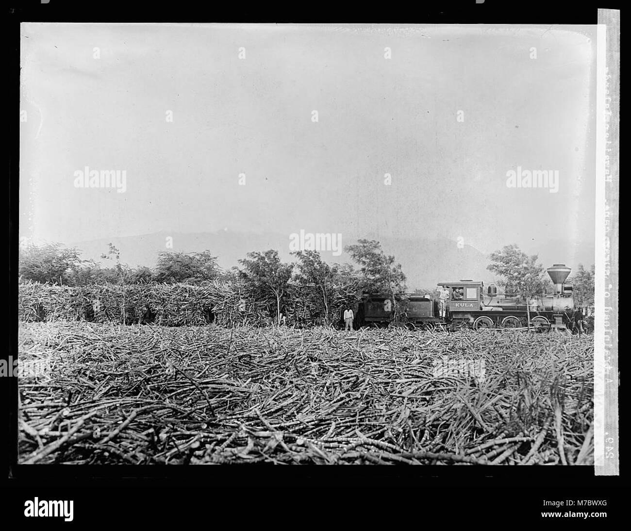 Trainload hi-res stock photography and images - Alamy