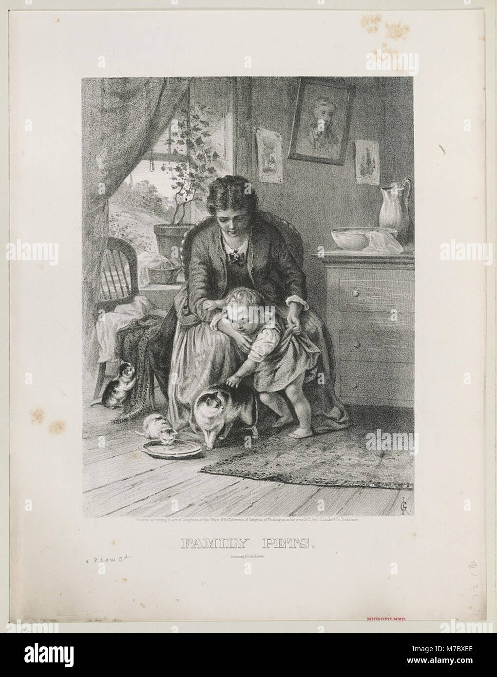 This photograph features a collection of family pets, showcasing the ...