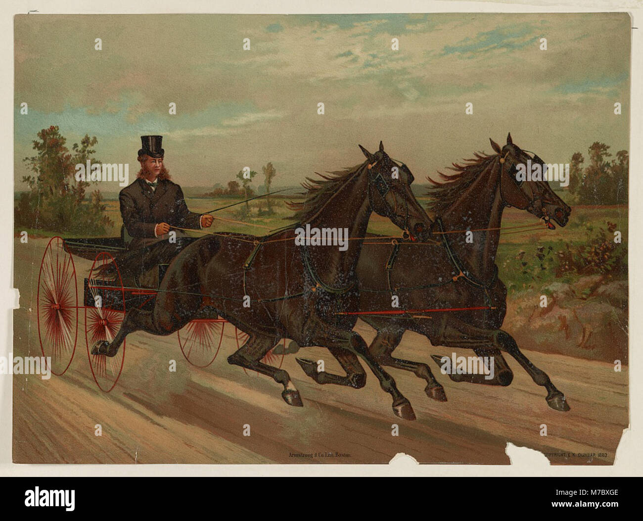 Portrait gentleman in carriage hi-res stock photography and images - Alamy