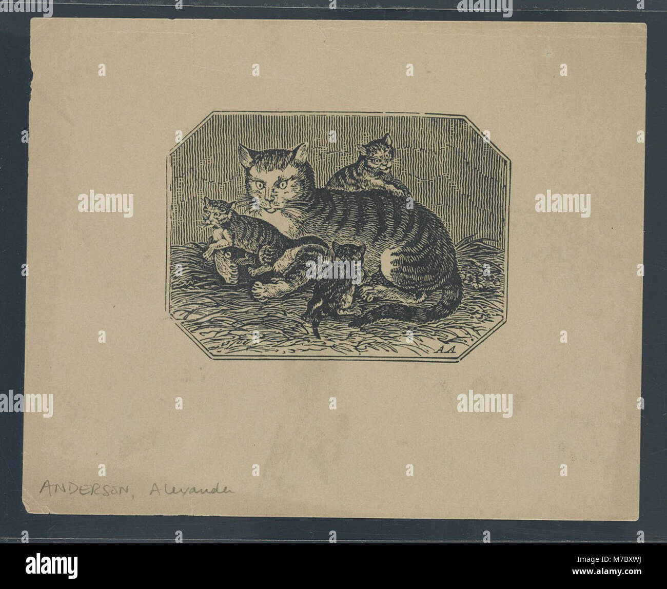 A photograph capturing a mother cat with her kittens, showcasing their ...