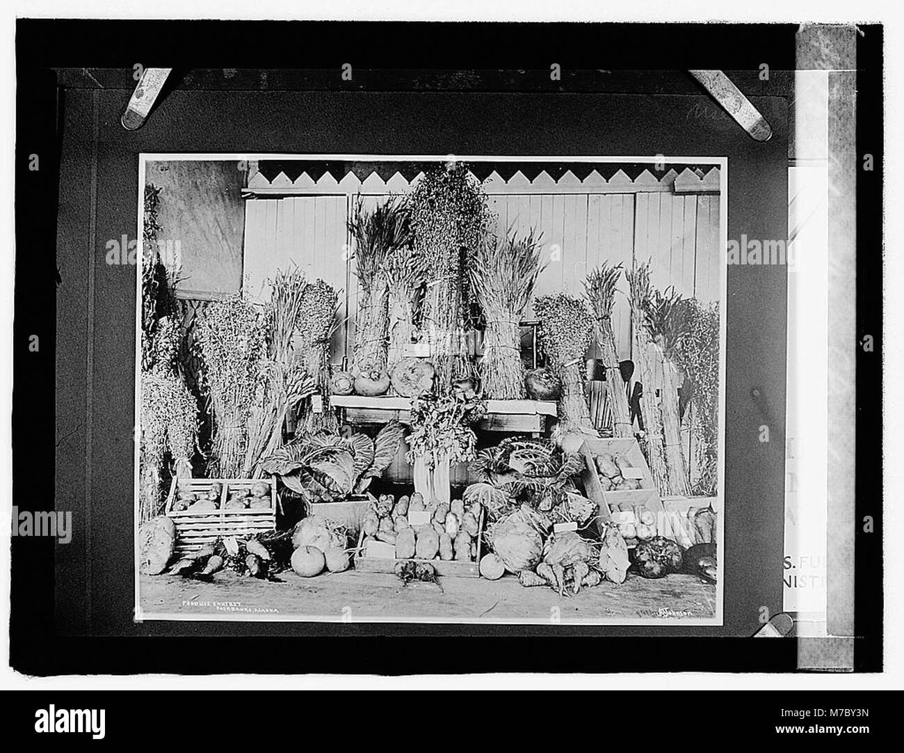 Alaska grown produce Black and White Stock Photos & Images - Alamy