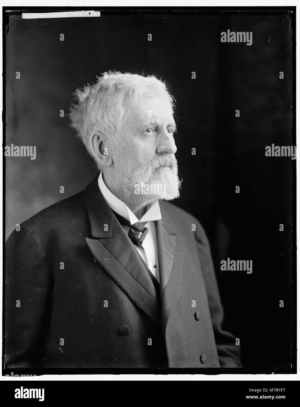 A portrait of W.B. Allison, a prominent senator, captured during his ...