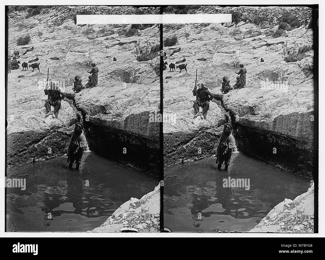 Elijah's Spring near Mount Carmel is depicted in this image, showing ...