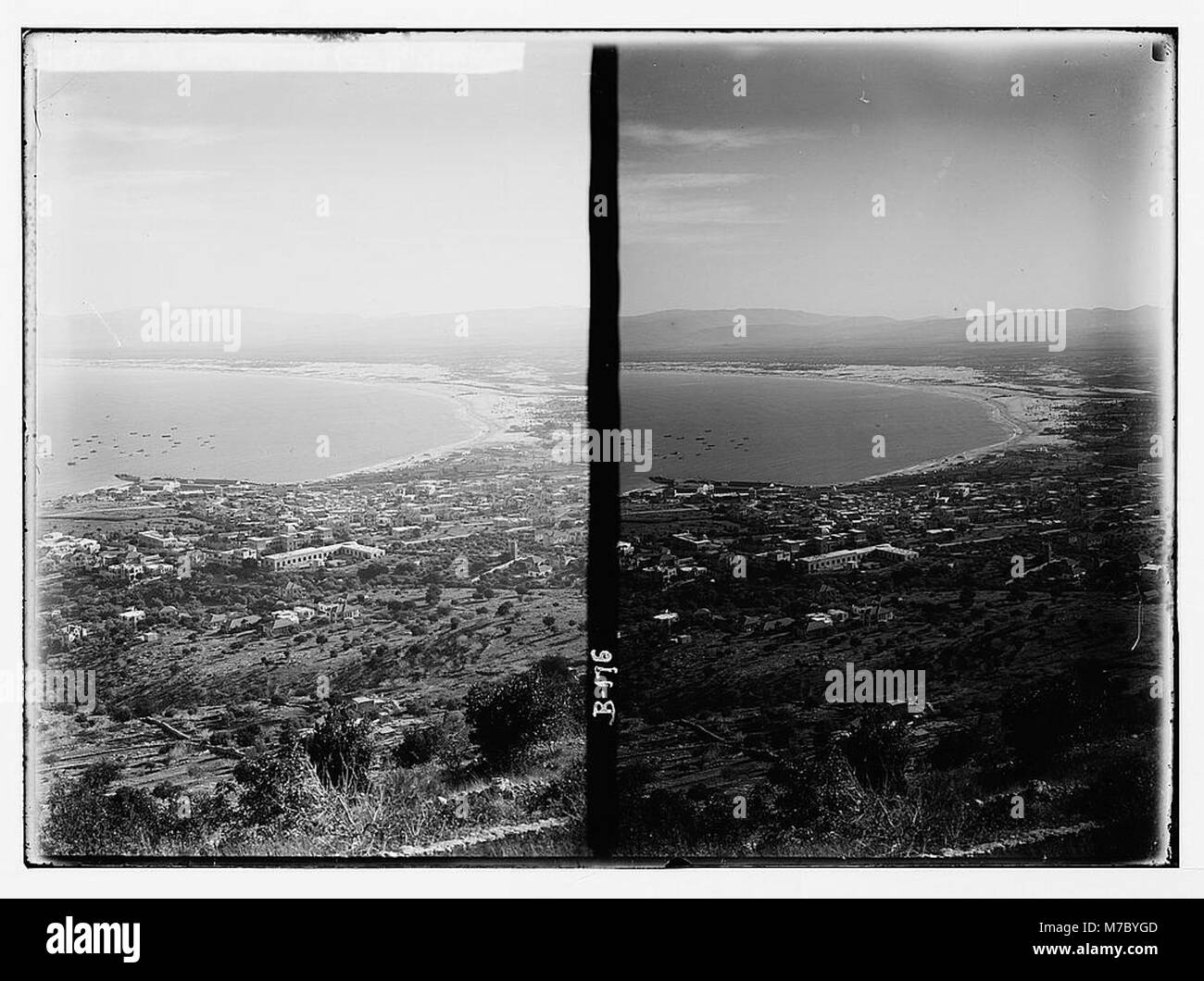 Along the sea coast. Haifa and bay, seen from Mt. Carmel LOC matpc ...