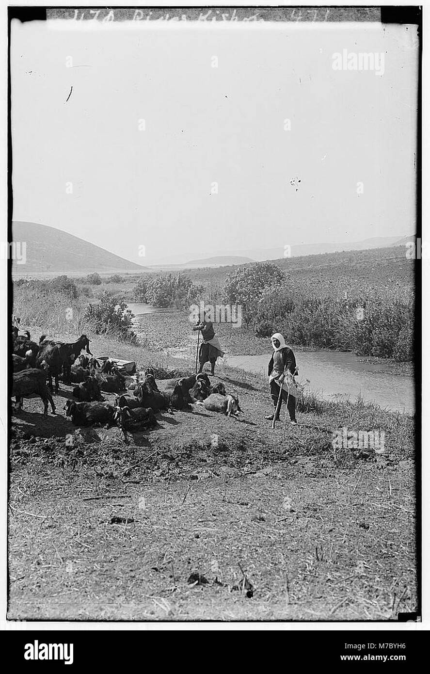 A scenic view of the River Kishon and Mount Carmel from the Esdraelon ...