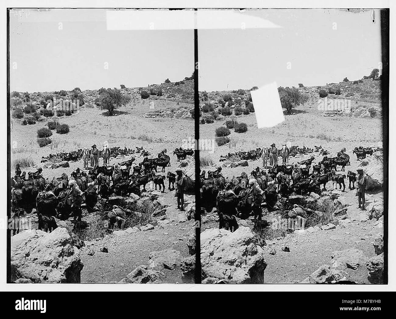 This portrait presents Colonel J.H. Simpson of the 4th New Jersey ...