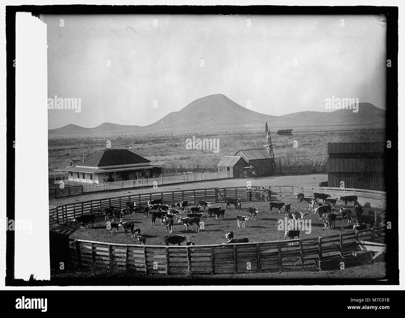 American ranch Black and White Stock Photos & Images - Alamy