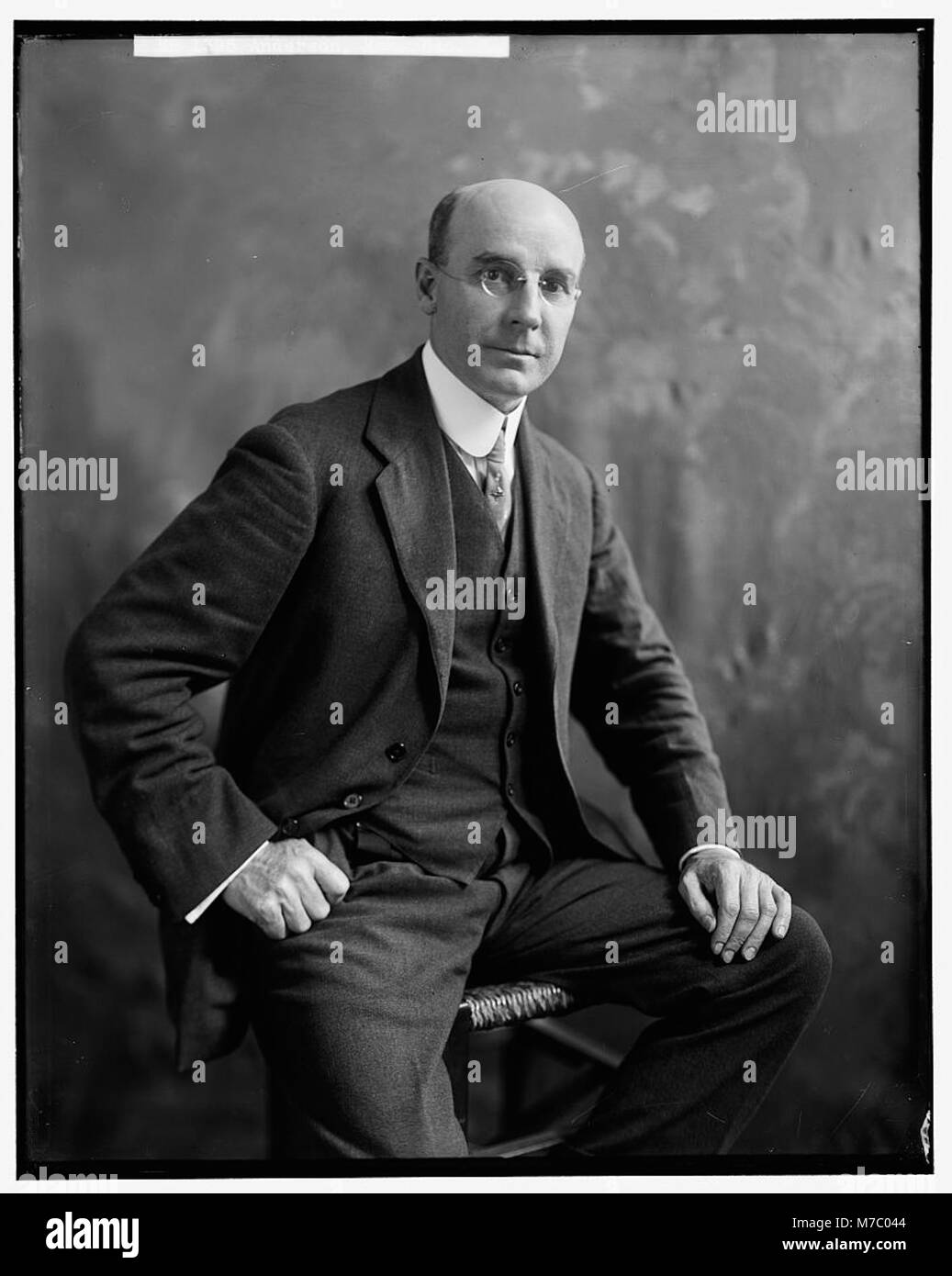A portrait of Hon. George E. Anderson, an American politician ...