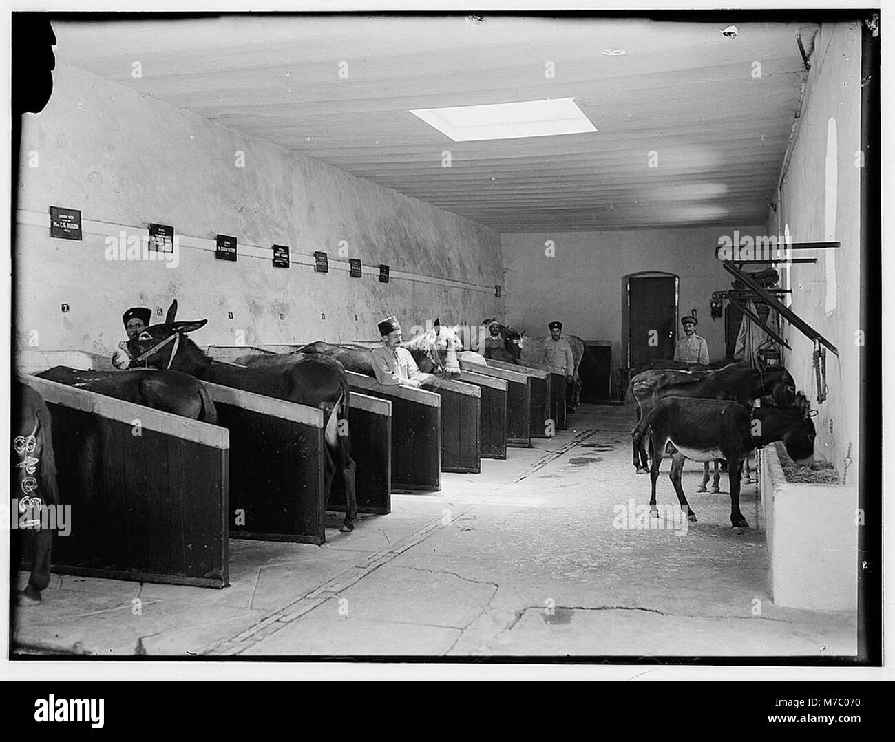 Animal hospital facilities hi-res stock photography and images - Alamy