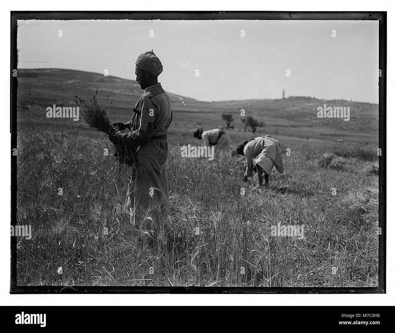 Peasants reaping the harvest hi-res stock photography and images - Alamy
