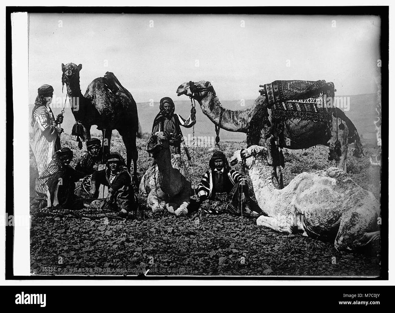 A photograph capturing the vastness of the Arabian Desert, showing the ...