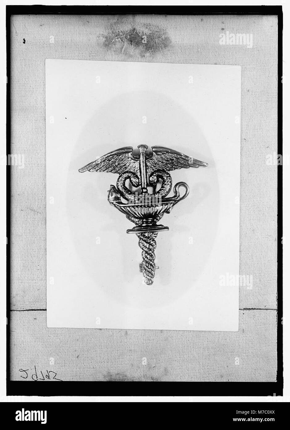 A detailed image of the Army School of Nursing insignia featuring a ...